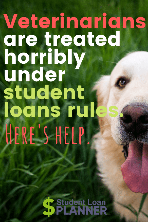 Veterinarians Are Treated Horribly Under Student Loan Rules
